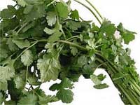 பாவூர்சத்திரம் பகுதியில் கொத்தமல்லி விலை கிடுகிடு உயர்வு | Malli leaf ...