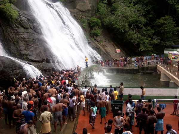 குற்றாலம் சாரல் திருவிழா... பார்வையாளர்களை கவர்ந்த காய்கறி, மலர் ...