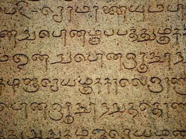 4,500 ஆண்டு பழமையான மொழி 'தமிழ்'... சர்வதேச ஆய்வில் தகவல் ...
