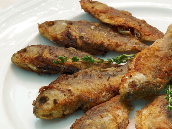 சுரா, பாரை, ஊளி, கெழுத்தி.. கேட்டாலே வாய் ஊறும்.. கோவையை கலக்கிய கடல் ...