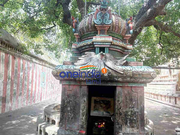 கருடபஞ்சமி: கருட பட்சிகள் மோட்சம் பெற்ற நாச்சியார் கோவில் கல் கருடன் ...