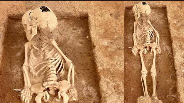 கீழடி: கொந்தகையில் முதுமக்கள் தாழியில் மனித எலும்புக்கூடு - ஆணா, பெண்ணா ...