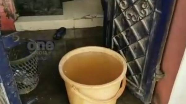 வாகை மரத்திலிருந்து குடம் குடமாக கொட்டிய தண்ணீர்.. ஆச்சரியப்பட்ட மக்கள் ...