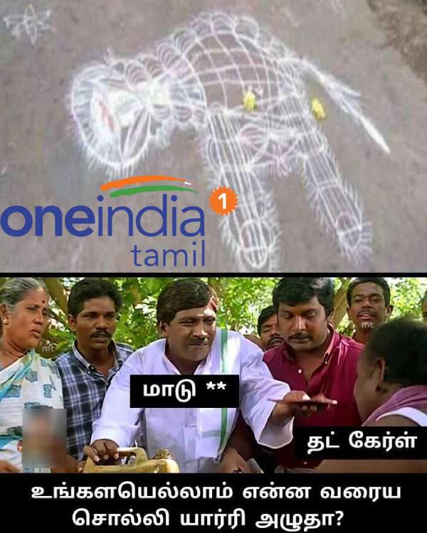 பார்க்குறவங்க குழம்பிடக் கூடாதுனு ‘மாடு’னு எழுதி வச்சிருக்காங்களே ...