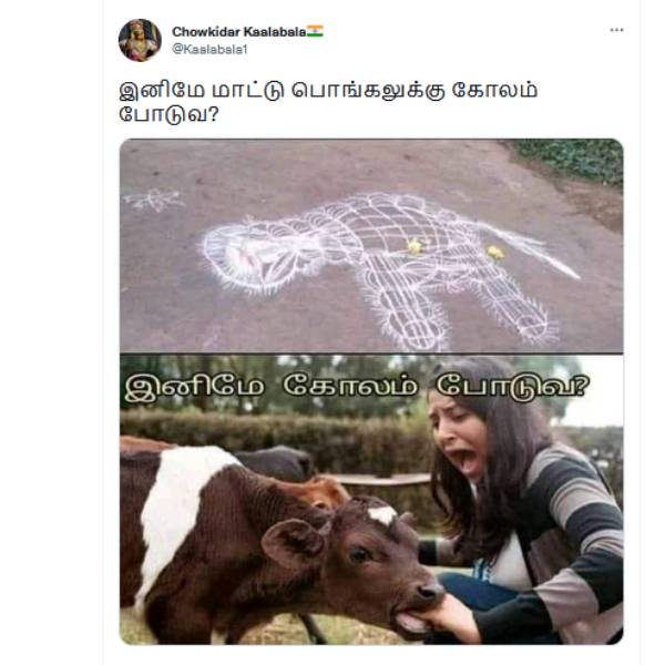 Pongal memes.. இதை மாடுனு நம்ப வைக்கறதுக்குள்ள.. நான் பட்ட அவஸ்தை ...