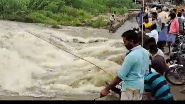 கரை புரண்டோடும் பாலாறு! தண்ணீரால் கண்ணீர் வடிக்கும் ஆம்பூர் மக்கள் ...
