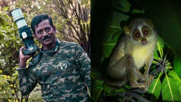 தேவாங்கு இனத்தை காக்க ஸ்டாலின் அறிவித்த சரணாலயம்! -இந்தியாவுக்கே ...