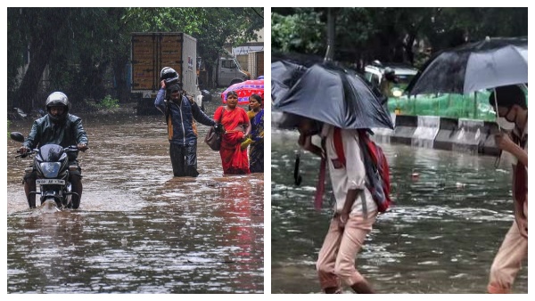 வெளுத்து வாங்கிய கனமழை.. சீர்காழியில் பள்ளிகளுக்கு மட்டும் இன்று ...
