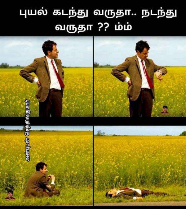 குளிர்காலம் வந்துட்டா போதுமே.. உடனே குல்லாவை எடுத்து தலைல மாட்டி ...