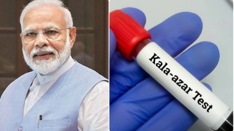 மணல் கொசுக்கள்- காலா அஜார் எனும் கருங்காய்ச்சல்.. குழந்தைகளை ...