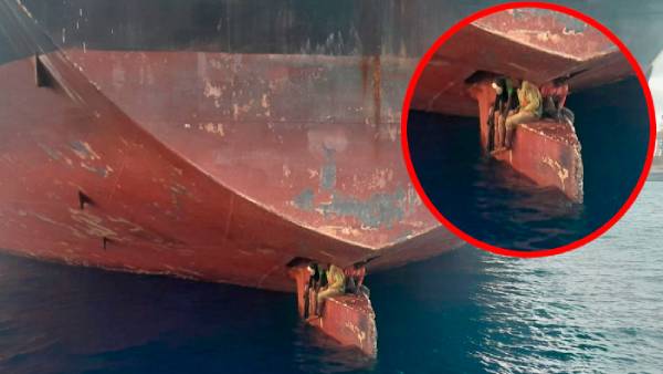 "பெரிய கொடுமை.." உணவு, நீர் இல்லாமல் 3,000 கி.மீ. கப்பலின் "அடியில் ...