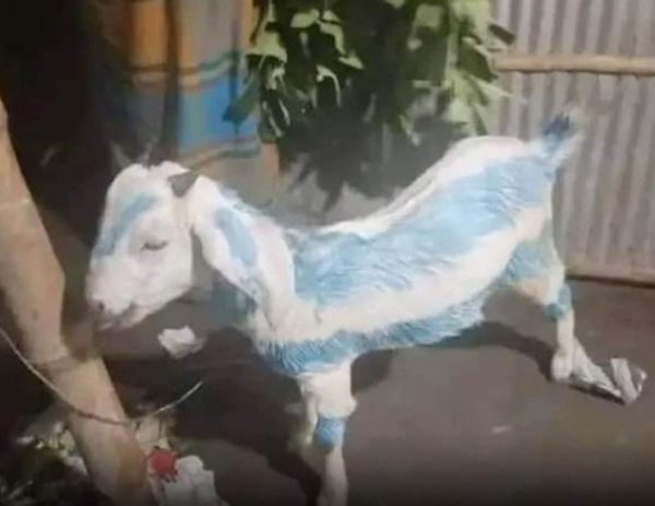 என்னயா பண்ணி வச்சிருக்கீங்க.. நான் தான் உங்களுக்கு கிடைச்சனா ...