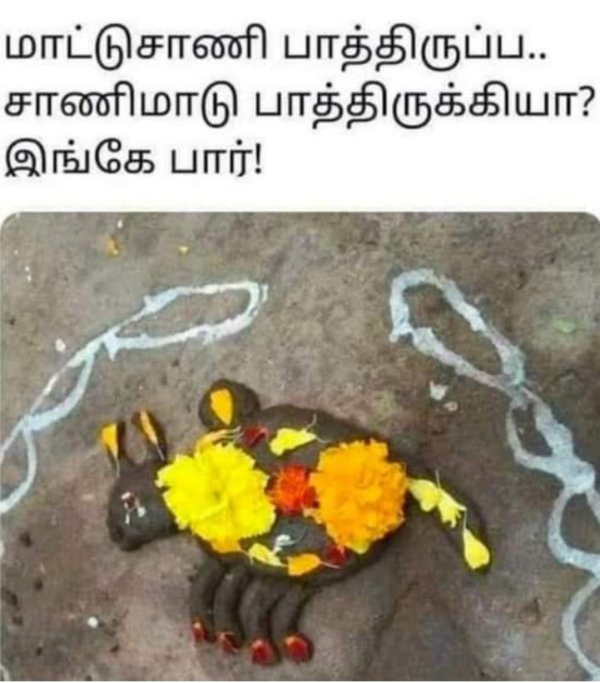 குத்துமதிப்பா மாட்டைக்கூட ஏத்துக்கலாம்.. ஆனா அந்த கன்னுக்குட்டியை ...