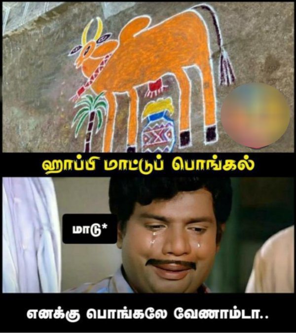 குத்துமதிப்பா மாட்டைக்கூட ஏத்துக்கலாம்.. ஆனா அந்த கன்னுக்குட்டியை ...