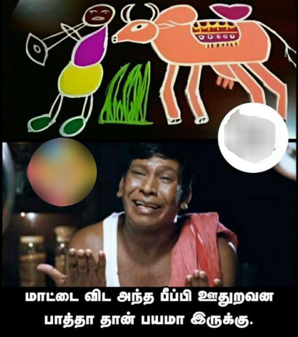 குத்துமதிப்பா மாட்டைக்கூட ஏத்துக்கலாம்.. ஆனா அந்த கன்னுக்குட்டியை ...