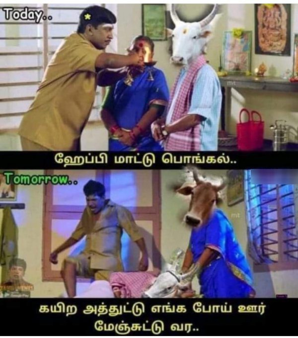 குத்துமதிப்பா மாட்டைக்கூட ஏத்துக்கலாம்.. ஆனா அந்த கன்னுக்குட்டியை ...