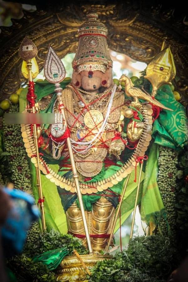 திருச்செந்தூர் மாசி திருவிழா..சிவப்பு,வெள்ளை, பச்சை சாத்தி கோலம்..6ல் ...