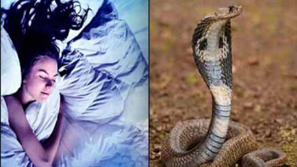 கனவில் பாம்பு வந்தால் நல்லதா கெட்டதா? என்னென்ன பலன்கள் பரிகாரங்கள் ...