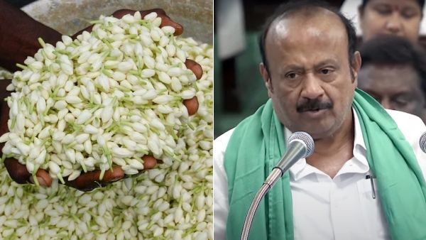 மதுரை மல்லிகைக்கு ரூ.7 கோடி..சாத்தூர் வெள்ளரி..விளாத்திக்குளம் மிளகாய் ...