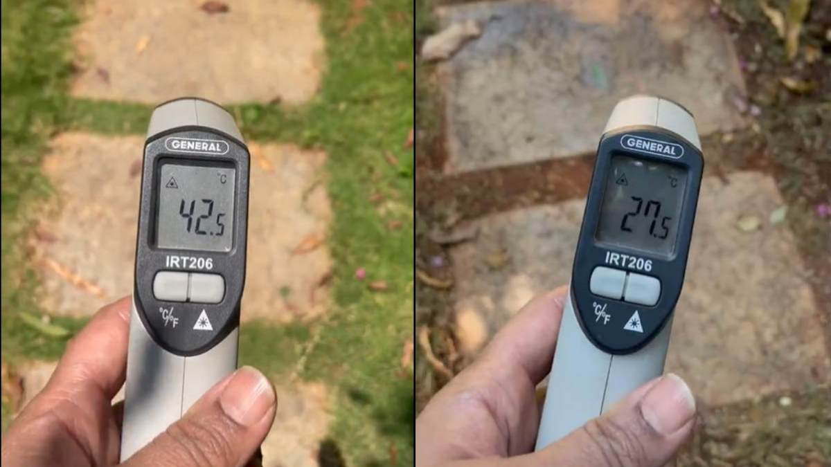 "எப்புட்றா.." ஏசி எல்லாம் தேவையே இல்லை! வீட்டை சில்லுனு மாற்ற ...