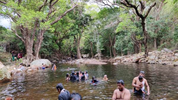 களக்காட்டு தலையணை நீர்வீழ்ச்சியில் அதிகரித்த நீர்வரத்து.. மருத்துவ ...
