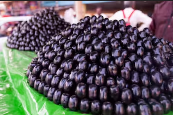 நாவல் பழம் - இதய நோய் வராமல் தடுப்பது எப்படி?.. முகத்தை பொலிவாக்கும் ...