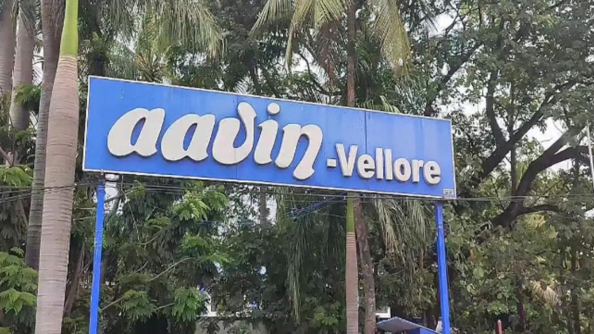 வேலூர் ஆவினில் மொத்தமா பால் திருட்டு.. யார் யாருக்கெல்லாம் தொடர்பு ...