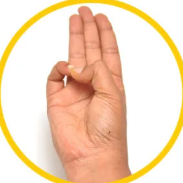 Neer Mudra: நீர் முத்திரை.." இதை பண்ணி பாருங்க.. மூட்டுவலிகள் மாயமாகும் ...