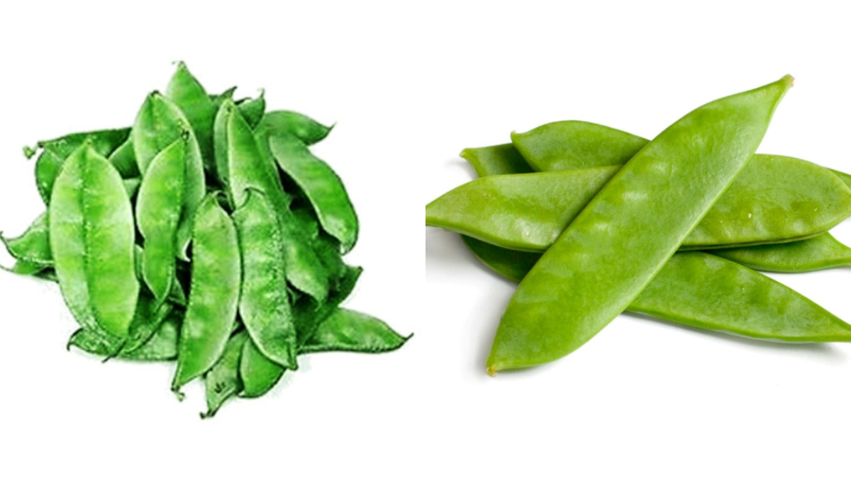 இத்துனூண்டு விதை.. ஓட ஓட நோயை விரட்டும் அற்புதமான அவரைக்காய்.. ஆமா ...