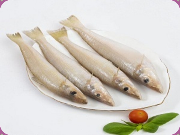 "கிழங்கான் மீன்" செய்றீங்களா.. கிழங்கான் செய்யும் நன்மைகள்.. மூலநோய் ...