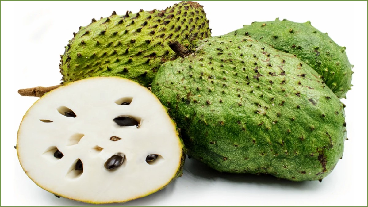 "இந்த பழம்" 12 வகையான கேன்சர் வராமல் தடுக்கும்.. புற்றுநோய் செல்களை ...