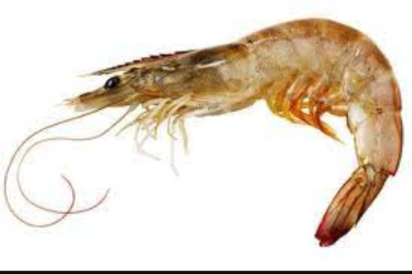 கருவாட்டுக்குழம்பு செய்றீங்களா.. "சென்னாகுன்னி"யை விட்றாதீங்க ...