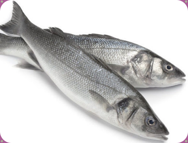 மீனில் "சூப்பர் மீன்" எது தெரியுமா.. இந்த மீன்கள் சாப்பிட்டால் உடல் எடை ...