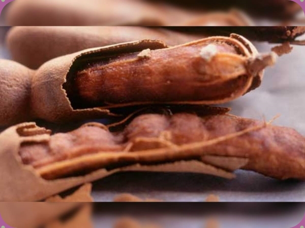 புளியங்காய்.. புளியம்பழம் மட்டுமல்ல, புளியின் தளிரும் மருந்தாகும் ...