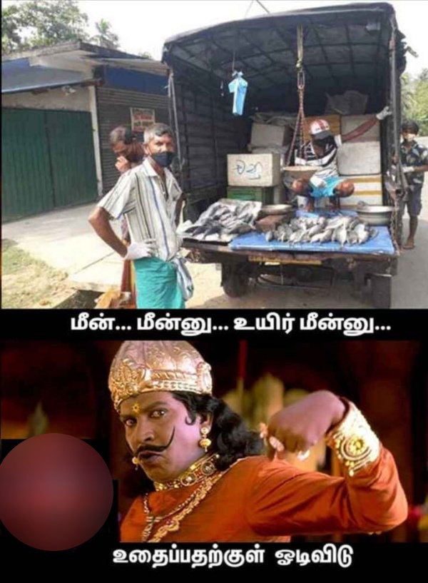 எங்க பேஸ்கட்டைப் பார்த்தாலே தெரிய வேணாமா? இன்னும் பச்சப்புள்ளையாவே ...