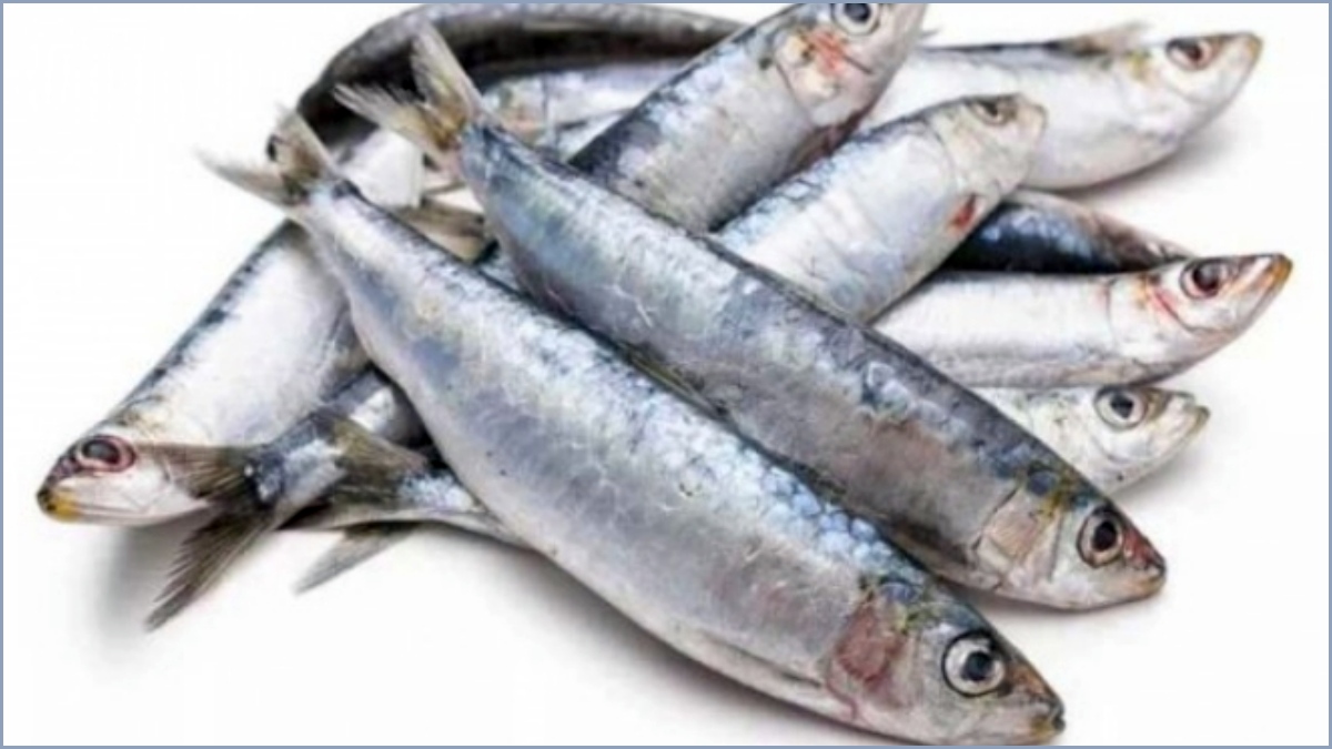 "மத்தி மீன்" வாங்கறீங்களா?.. சாளை மீனை இப்படி சாப்பிட்டால், உடல் எடை ...