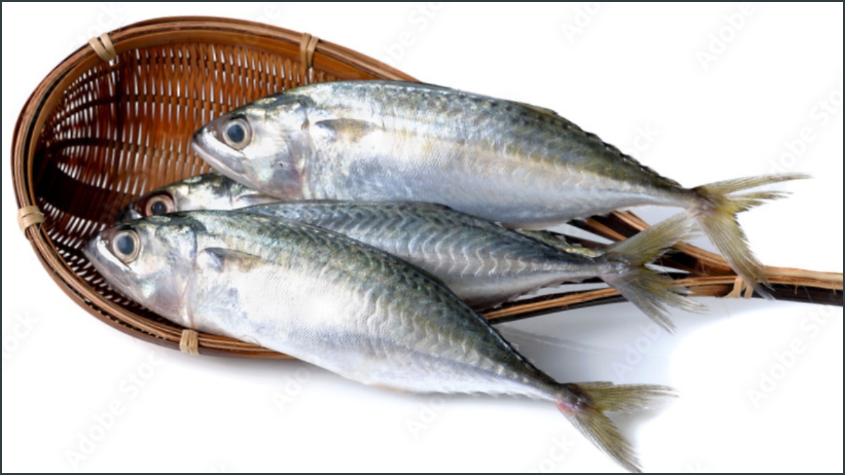 அயிலை மீன் வாங்கறீங்களா.. கொலஸ்ட்ரால் அதிகம் இருக்கா? அப்ப அயிலையை ...