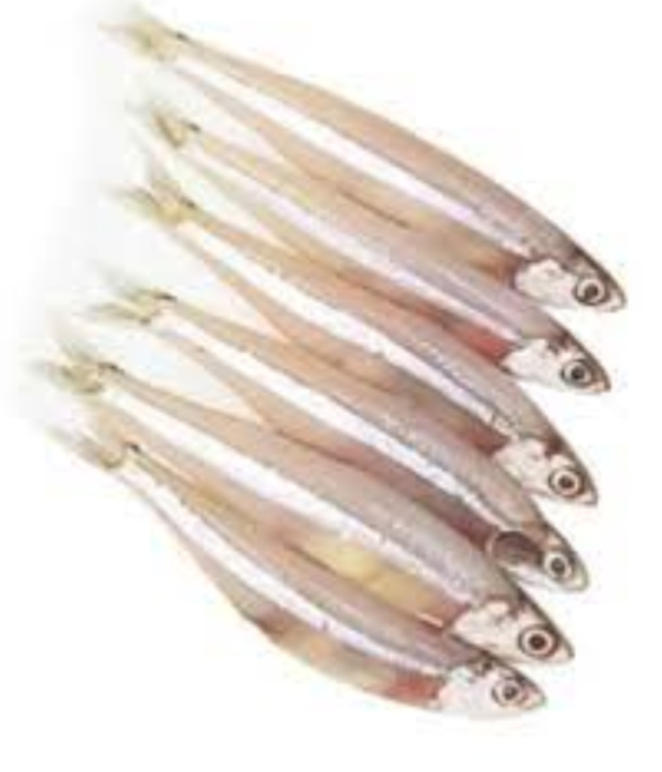 கருவாடு செய்றீங்களா.. அப்ப நெத்திலி கருவாட்டின் சர்ப்ரைஸை பாருங்க ...