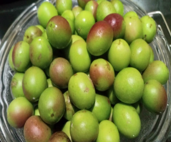 "களாக்காய்" சாப்பிடறீங்களா? கருப்பை கழிவை நீக்கும் கலாக்காய்.. மினுமினு ...