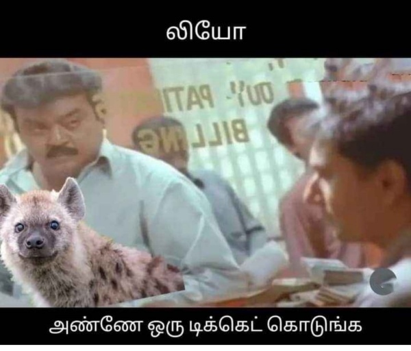 டேய் யார்ரா நீ... இங்க வந்து ஹைனா குட்டி கிடைக்குமானு கேட்டுட்டு இருக்க ...