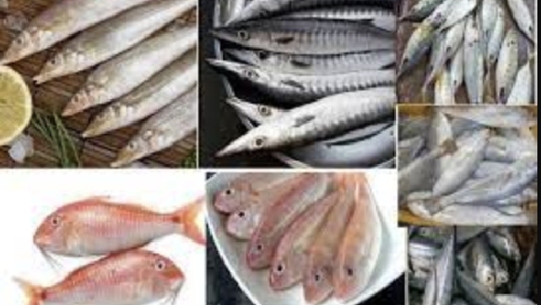 மீனு மீனேய்.. மீன்களை வாங்கினால் இதை மறக்காதீங்க.. மீன் "இந்த அளவுதான் ...