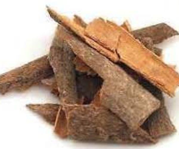 முருங்கையை போல.. மருதம்பட்டை.. சிறுநீரகம் முதல் இதயம் வரை காக்கும் மருத ...