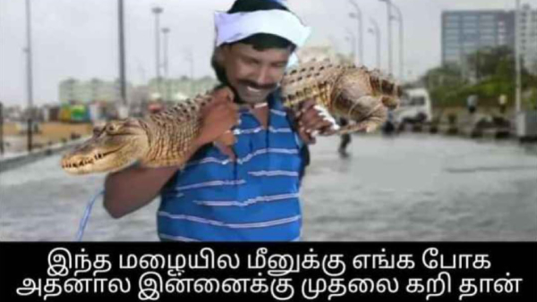 என்ன ப்ரோ முதலைக்கு சோறு போட்டுட்டு இருக்கீங்கனு கேட்டா.. வந்தாரை வாழ ...