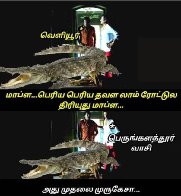 என்ன ப்ரோ முதலைக்கு சோறு போட்டுட்டு இருக்கீங்கனு கேட்டா.. வந்தாரை வாழ ...