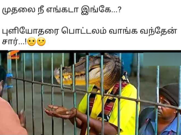 என்ன ப்ரோ முதலைக்கு சோறு போட்டுட்டு இருக்கீங்கனு கேட்டா.. வந்தாரை வாழ ...