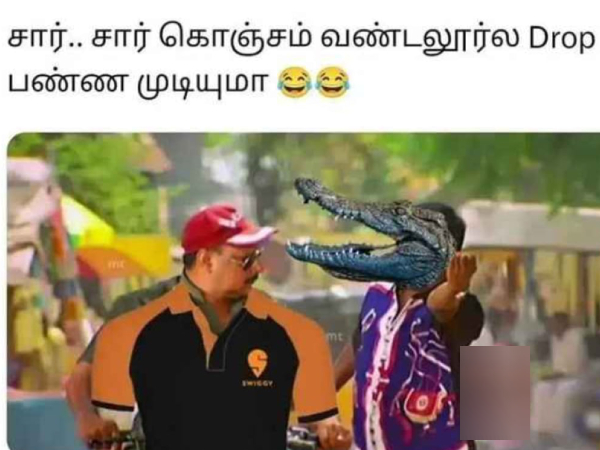 என்ன ப்ரோ முதலைக்கு சோறு போட்டுட்டு இருக்கீங்கனு கேட்டா.. வந்தாரை வாழ ...