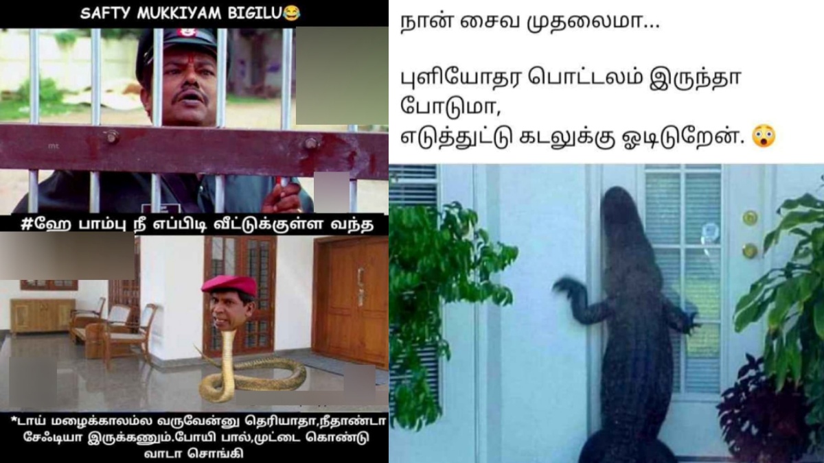 என்ன ப்ரோ முதலைக்கு சோறு போட்டுட்டு இருக்கீங்கனு கேட்டா.. வந்தாரை வாழ ...
