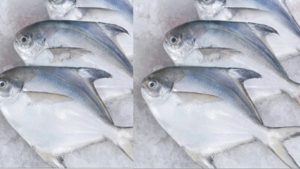 சர்னு வெயிட் குறைய வவ்வால் மீன்.. வாவல் மீனை மிஸ் பண்ணாதீங்க.. இதயம் ...