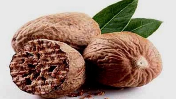 மாசிக்காய்.. மிகப்பெரிய வரப்பிரசாதம்.. கைக் குழந்தைகளை காக்கும் ...