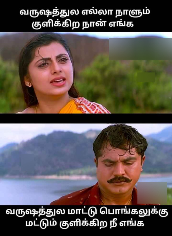 ஓடுங்க ஓடுங்க.. பொங்கலுக்கு வீட்டை சுத்தம் பண்ண விளக்குமாறு, ஒட்டடை ...